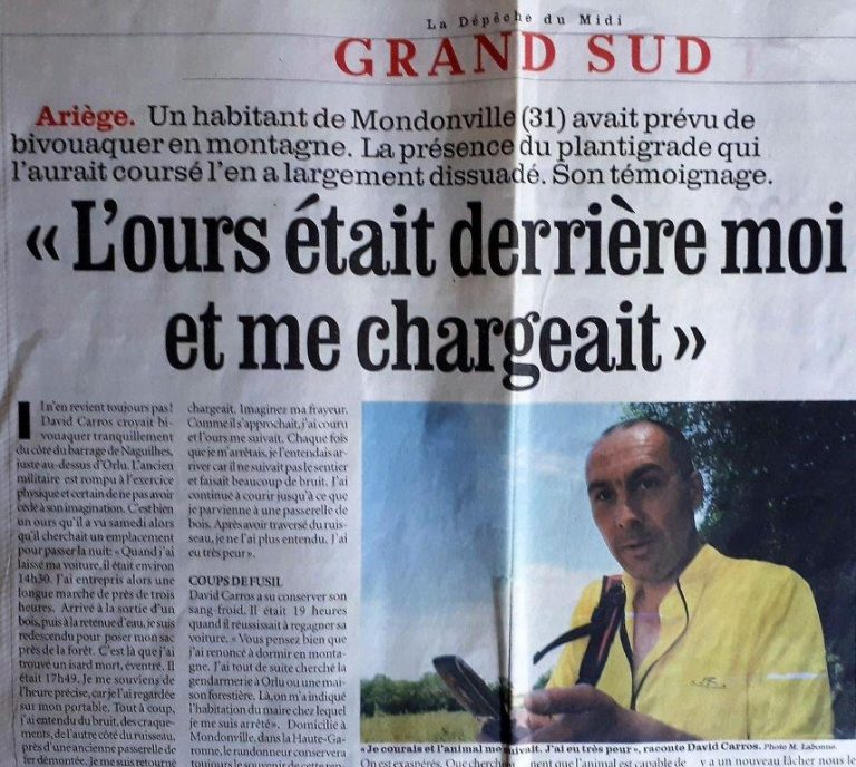 Ġuri marbut mal-mewt tal-ors Caramelles maqtul minn kaċċatur "fi stat ...